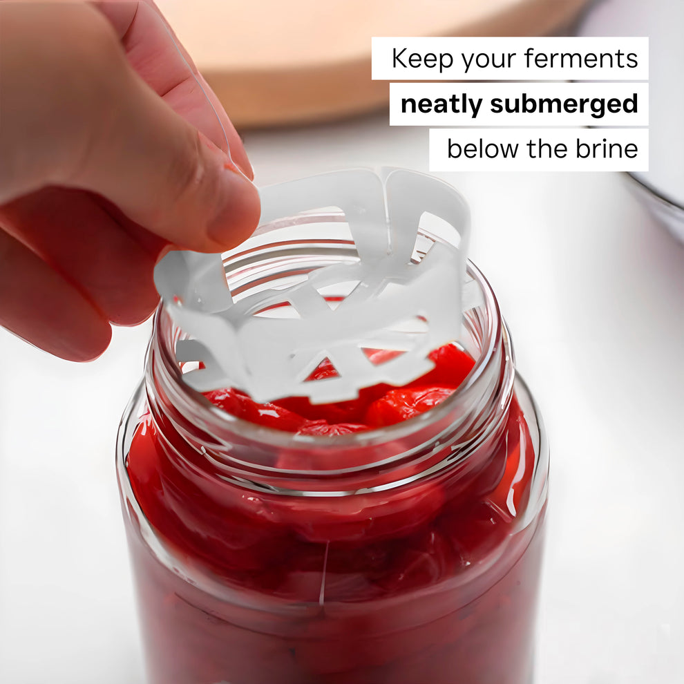 Viscodisc Canning/Fermenting Buddies – Cultured Living